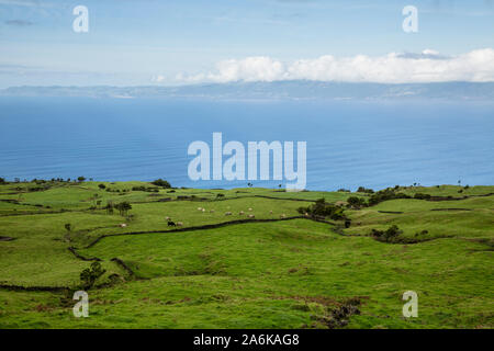 Pico grazing landscape. Azores, Portugal Stock Photo - Alamy