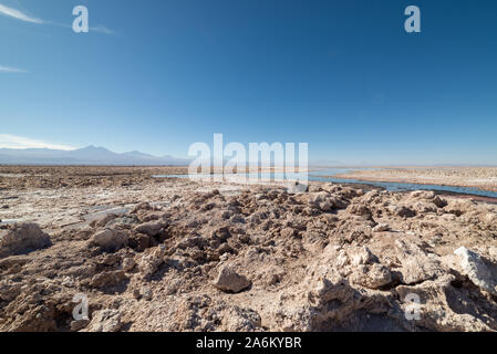Laguna Chaxa (Chaxa Lagoon), San Pedro de Atacama, Antofagasta Region ...