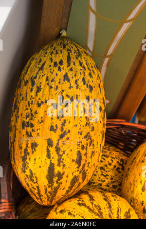 Green speckled melons in a straw basket in the view Stock Photo - Alamy