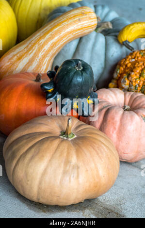 A stack of fresh colorful pumpkin and squash after harvest Stock Photo ...