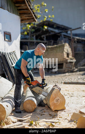 Man cut with saw. Dust and movements. Woodcutter saws tree with ...