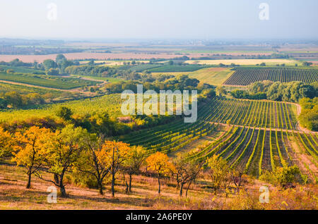 autumn landscape with colorful trees, Moravia, Czech republic, Europe ...