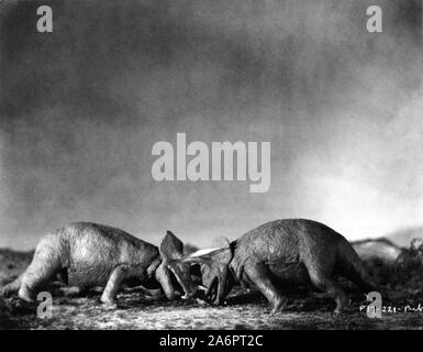 Stop Motion Dinosaur Models in THE LOST WORLD 1925 director Harry O ...