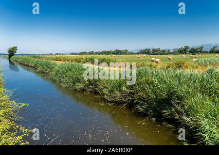 Pontinia, Latina, Agro Pontino, Lazio, Italy, Europe Stock Photo - Alamy