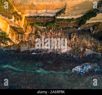 Rocks with green seaweed in the light of the setting sun and mystical ...