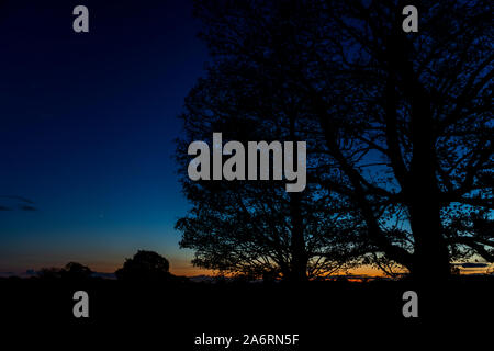 Oak trees and Jupiter in the night sky. Monmouthshire Stock Photo - Alamy