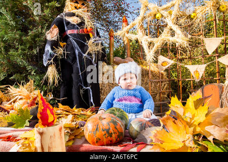 Beautiful pumpkin and fall foliage decoration for Halloween Stock Photo ...