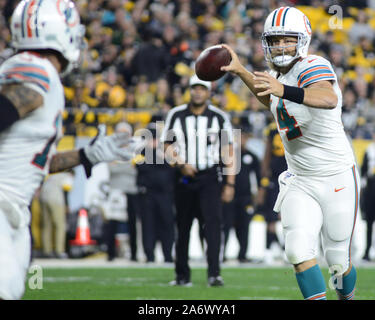 Miami Dolphins quarterback Ryan Fitzpatrick (14) runs the ball against ...