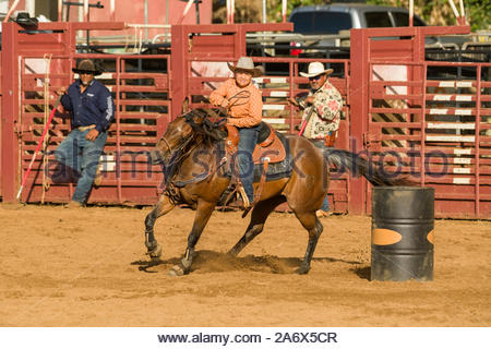 Rodeo cowboy on horseback competing in calf roping, or tie-down Stock ...