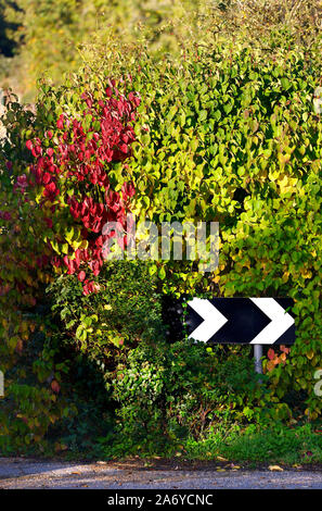 uk road sign chevron markings board bend bends sharp acute Stock Photo ...