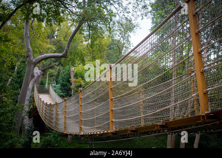 Jungle rope bridge hanging in rainforest of Honduras on natural green ...