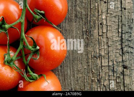 Red tomatoes on the old board Stock Photo - Alamy