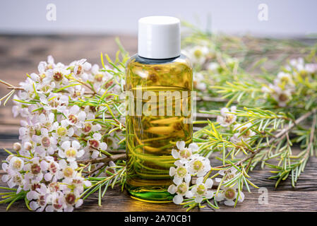 Heather essential oil in a small bottle closeup Stock Photo - Alamy