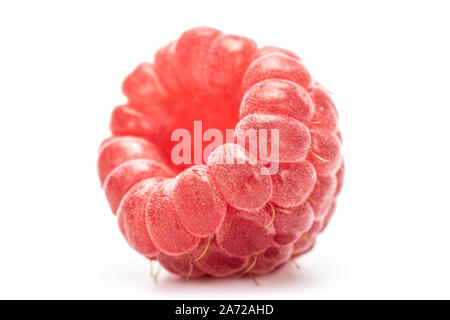 Group of four whole fresh crimson raspberry isolated on white ...