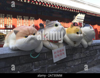 Beijing,CHINA-A giant "Royal cat" is seen near the palace wall outside ...