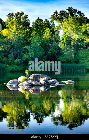 Large Natural Pond in Lake Superior National Forest Stock Photo - Alamy