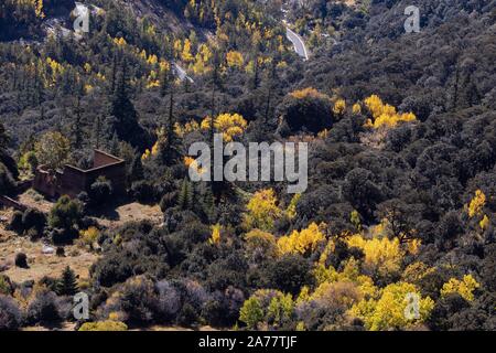 Sichuan ganzi autumn scenery Stock Photo - Alamy