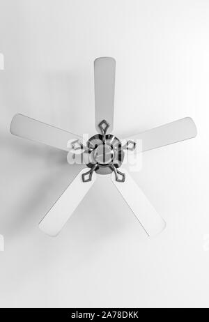 Ceiling Fan And Light, Close Up Stock Photo - Alamy