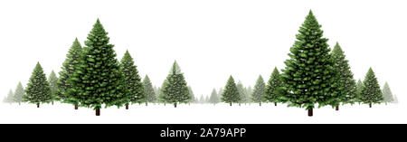 Christmas tree horizontal border with pine trees on a white background ...