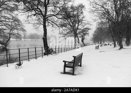 Snow Scenes in Roath Park, Roath, Cardiff, Wales, UK Stock Photo - Alamy