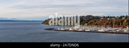 Aerial view of Smith Cove Marina with beautiful boats and a serene ...