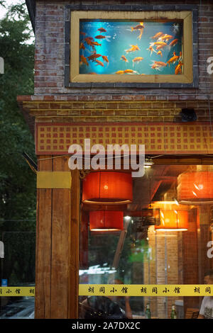 Fish in aquarium, Beijing Stock Photo - Alamy
