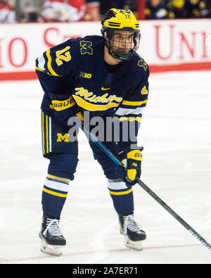 November 1. 2019: Michigan Wolverines forward Nick Pastujov (91) fights ...