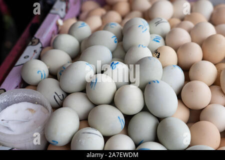 Common street food in the Philippines known as Balut,a boiled ...