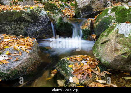 Mad River, Fall foliage, Waterville Valley, New Hampshire Stock Photo ...