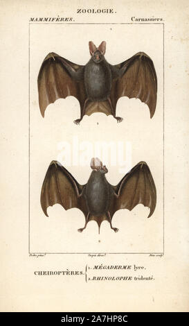 Trident bat or trident leaf-nosed bat (Asellia tridens Stock Photo - Alamy