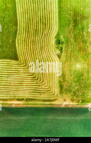 top view of a farm and its crops, field background agricultural ...