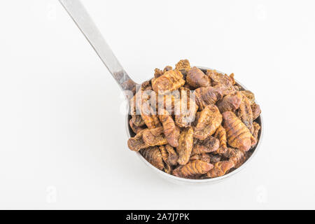Dried pupae of Silkworm / Bombyx mori which are eaten and a popular ...