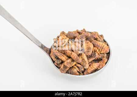 Dried pupae of Silkworm / Bombyx mori which are eaten and a popular ...
