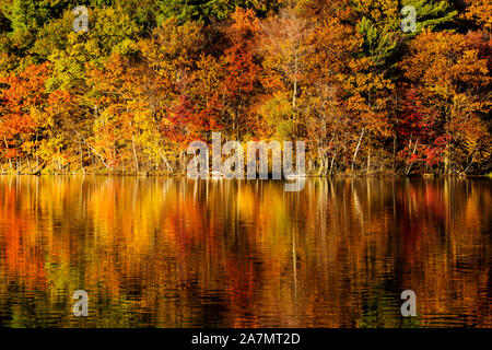 Mont st Bruno national park, Quebec, Canada in autumn Stock Photo - Alamy