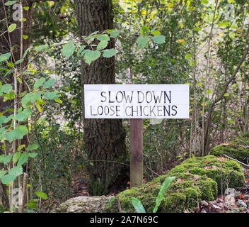 Loose Chickens Warning Sign Stock Photo - Alamy
