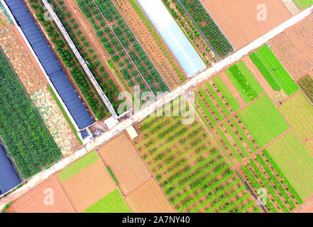 Aerial view of the colorful fields being poured by rains caused by ...