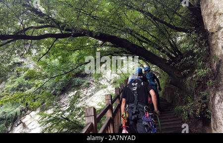 Picture of Condor Rescue team searching for the missing associate ...