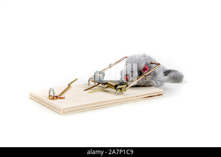 Grey toy mouse prowling around a wood mouse trap Stock Photo - Alamy