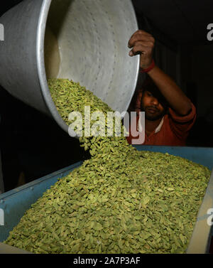 A worker at a Cardamom sorting center in Kerela, India Stock Photo - Alamy