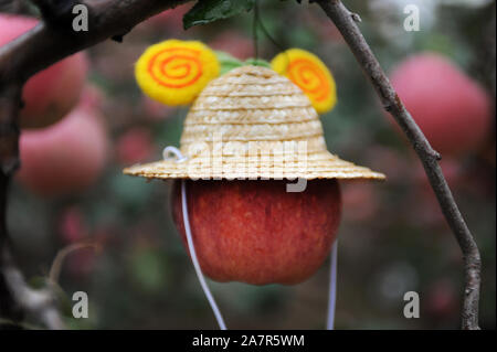 November 4, 2019, Beijing, Beijing, China: Beijing,CHINA-Apples are ...