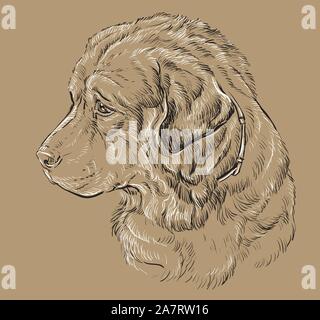 Caucasian Shepherd Dog vector hand drawing illustration in white color ...