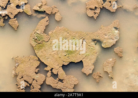 puddle, looks like a map of Europe Stock Photo - Alamy