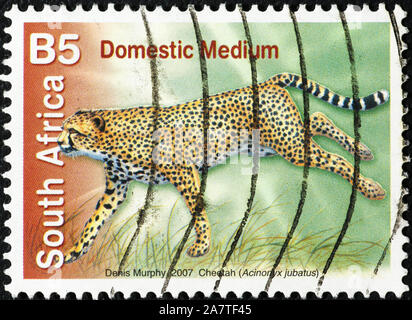 Cheetah on south african postage stamp Stock Photo - Alamy