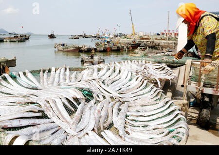 A fisherwoman is drying fish by the harbour in Lianyungang city, east ...