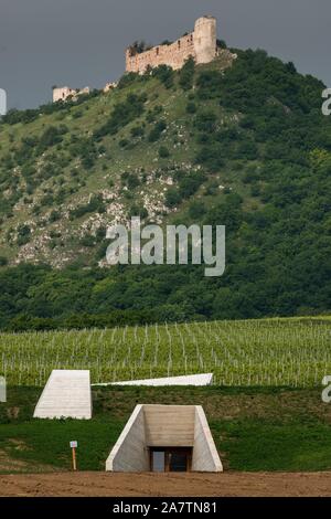 The Devicky Castle ruin in Palava Landscape Protected Area, South ...