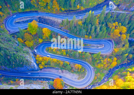 winding mountain path between forest and pasture in misty weather Stock ...