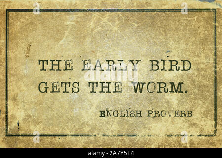 the early bird Stock Photo - Alamy