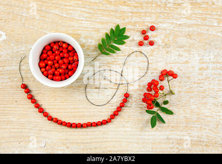 Making protective rowan berry charm necklace, it is believed that rowan ...