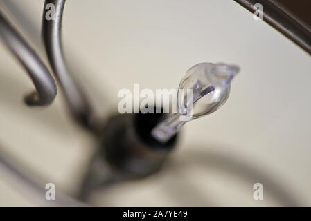 Selective of a small electric light bulb on the background of other ...