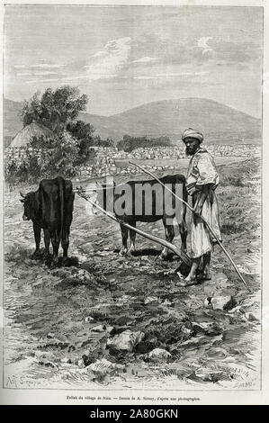 agriculture,farm labour,field,plough with span of oxen,after Anglo ...